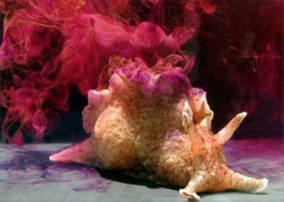 How does Greasing the Groove work? - Strength.University